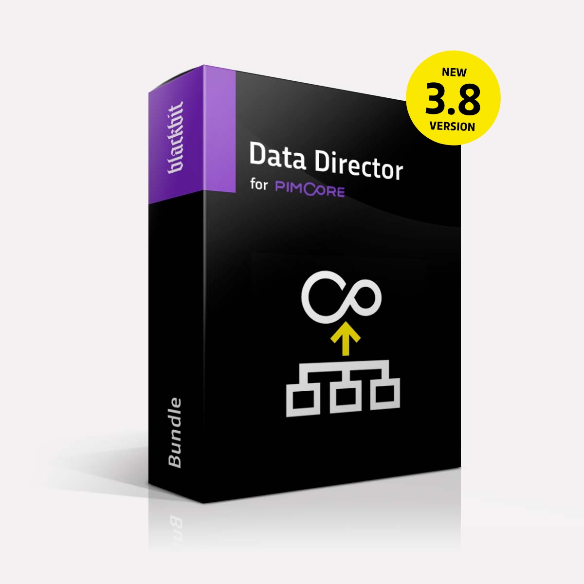 Pimcore Data Director, import and export data with ease