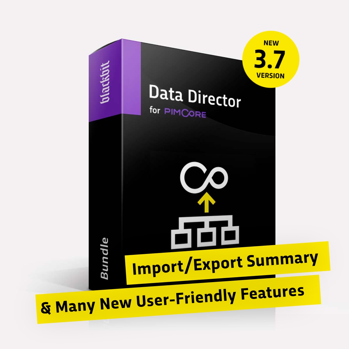 Pimcore Data Director, import and export data with ease
